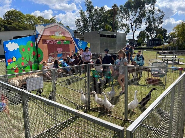 Carnival lights up town - The Guardian